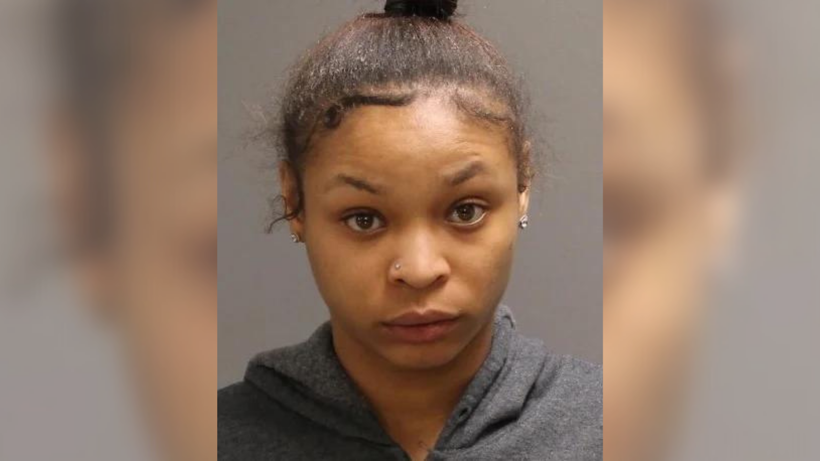 Montco Woman Charged In Deaths Of Pa Troopers Pedestrian